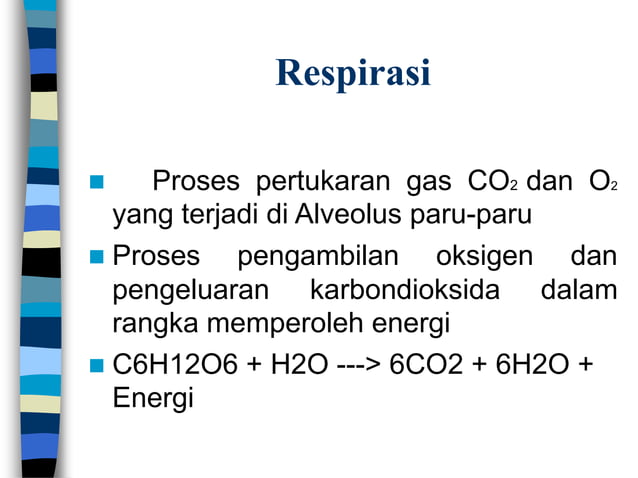 sistem-respirasi.ppt