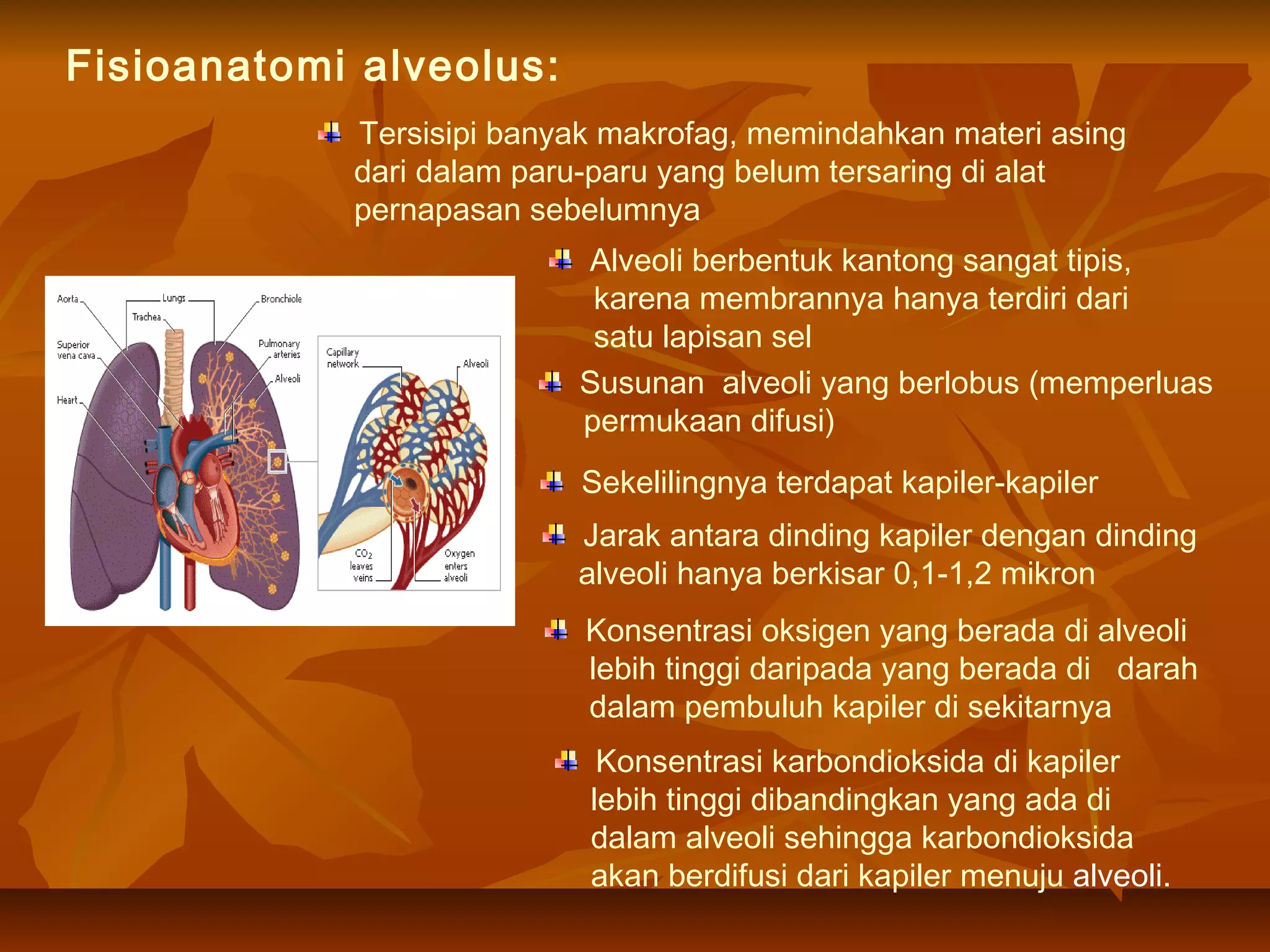 Sistem respirasi-manusia | PPT