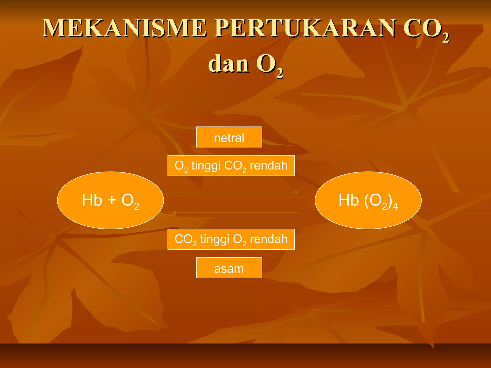 Sistem respirasi-manusia | PPT