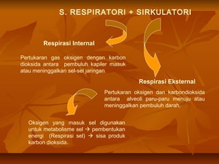 Sistem respirasi-manusia | PPT