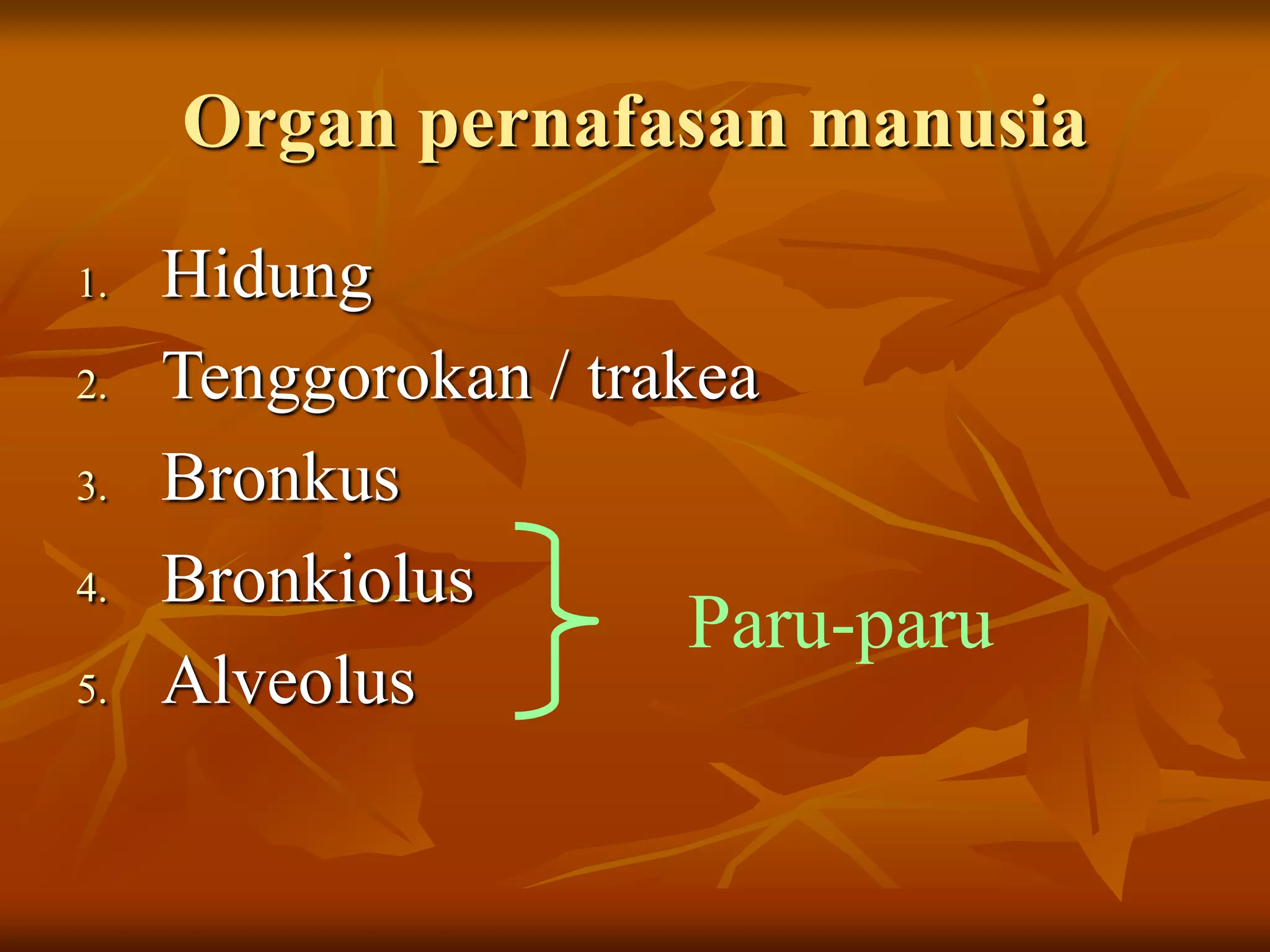 sistem-respirasi-manusia.ppt