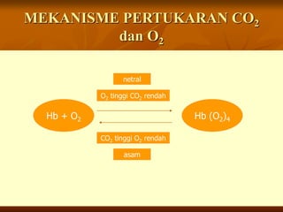 sistem-respirasi-manusia.ppt