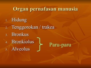 sistem-respirasi-manusia dan penjelasanna secara singkat | PPT