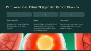 Sistem-Respirasi-Memahami-Pernapasan-dari-Alveoli-hingga-Jaringan.pptx
