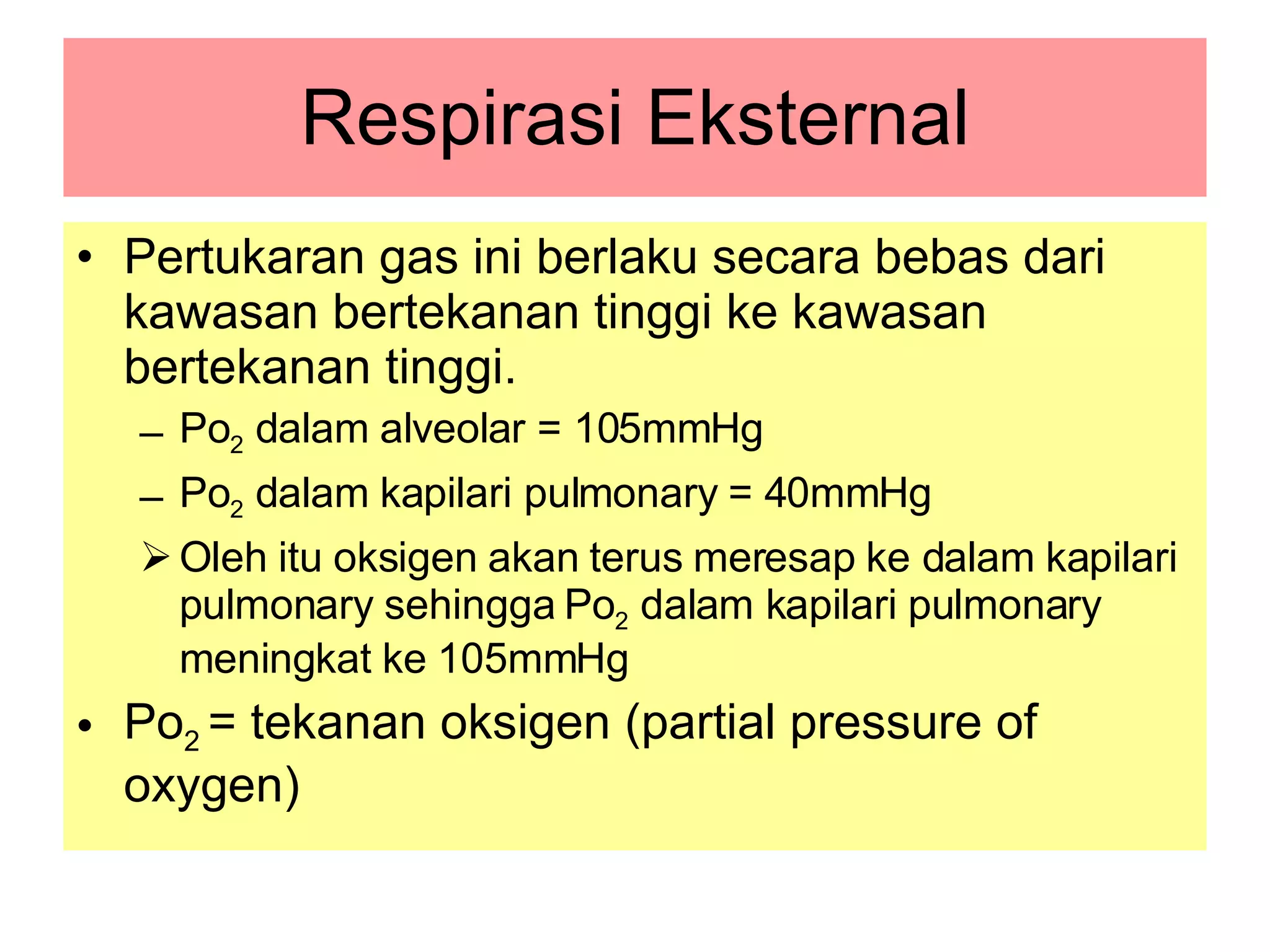 Sistem Respiratori | PPT