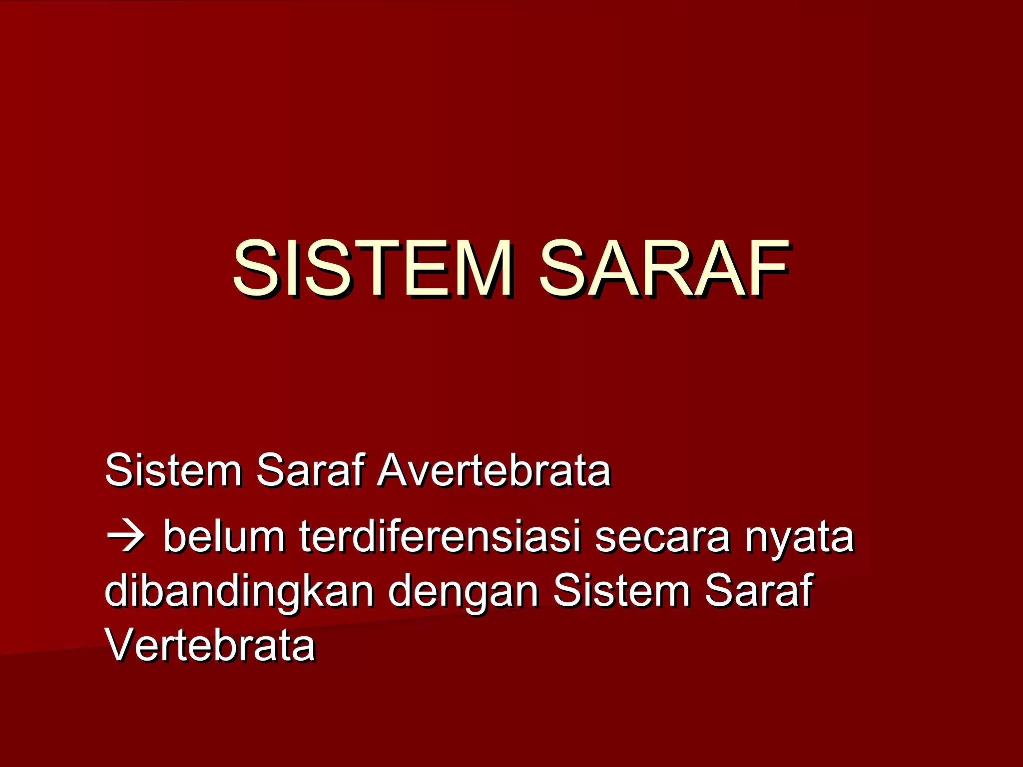 Sistem saraf | PPT