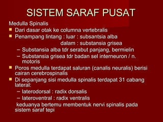 Sistem saraf | PPS