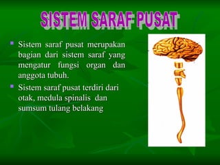 sistem-saraf-indera-kelas 9 semester 1.ppt