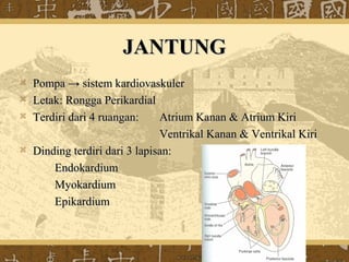 Sistem sirkulasi | PPT
