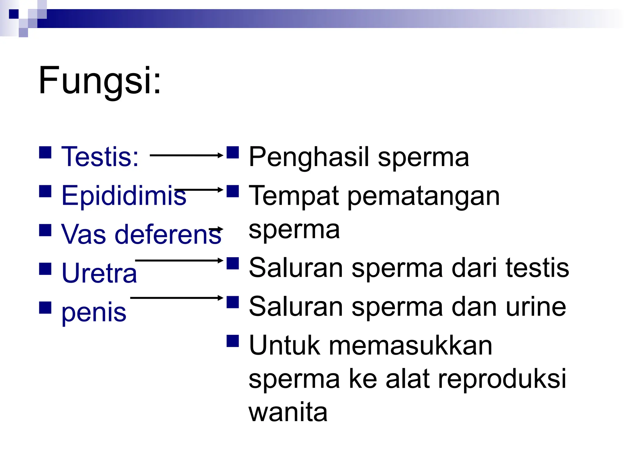 SISTEM%20REPRODUKSI%20PADA%20MANUSIA.pptx