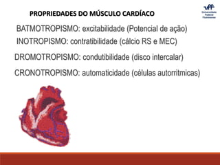 Sistema-Cardiovascular-I.ppt