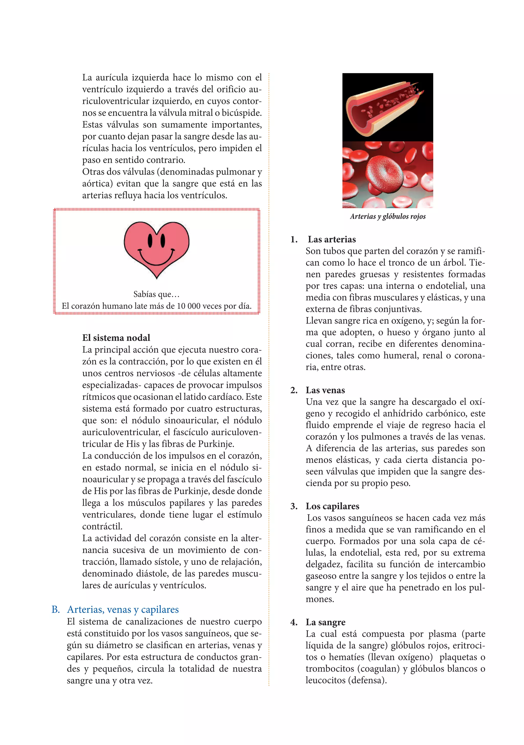 Sistema-Circulatorio-para-Segundo-Grado-de-Secundaria.pdf