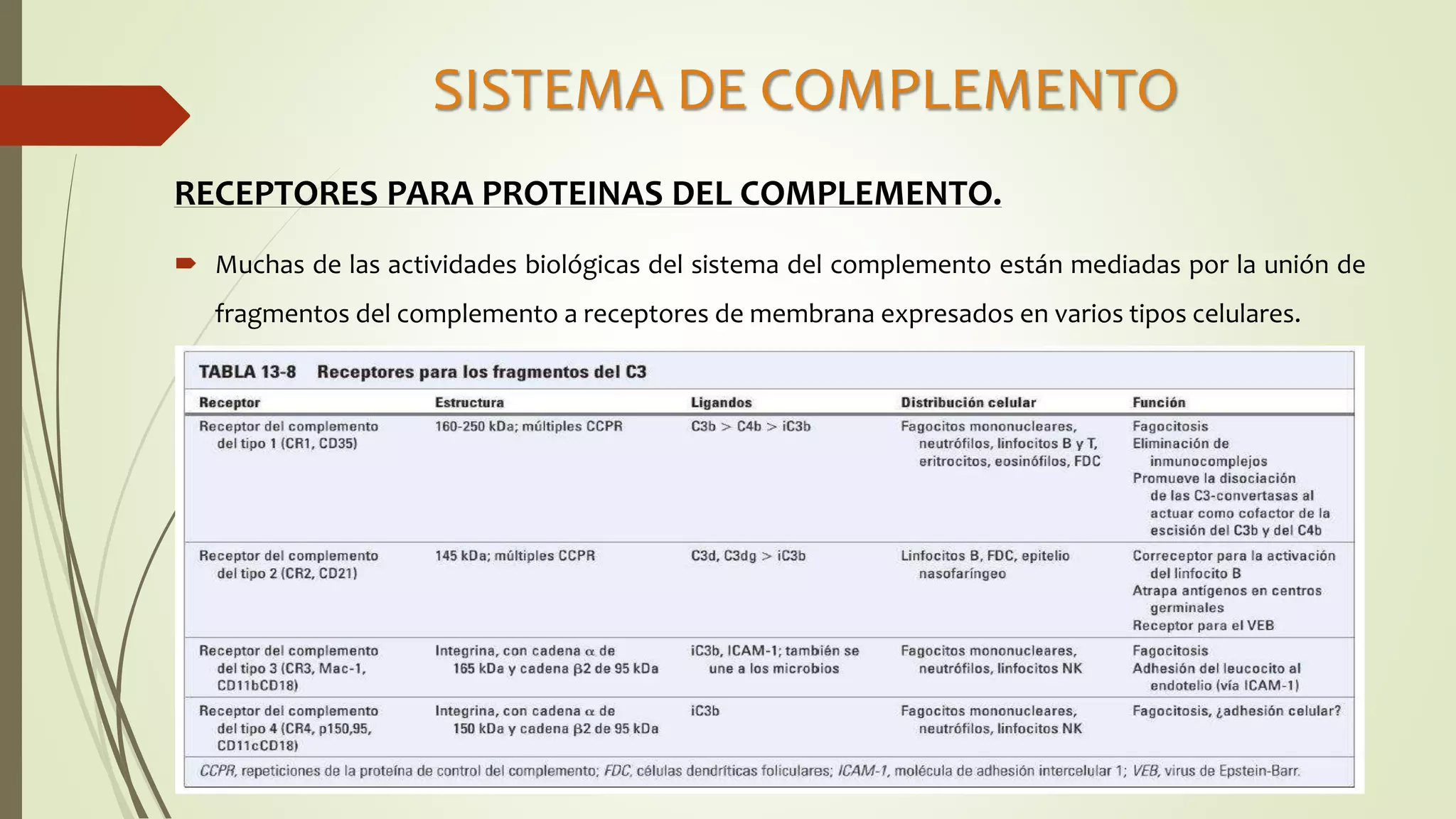El Sistema de Complemento | PPT