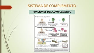 El Sistema de Complemento | PPTX