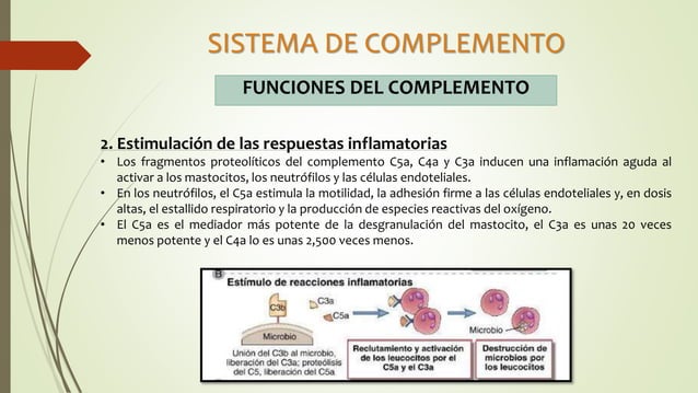 El Sistema de Complemento | PPTX