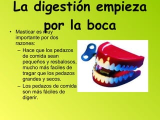 SISTEMA DIGESTIVO | PPT