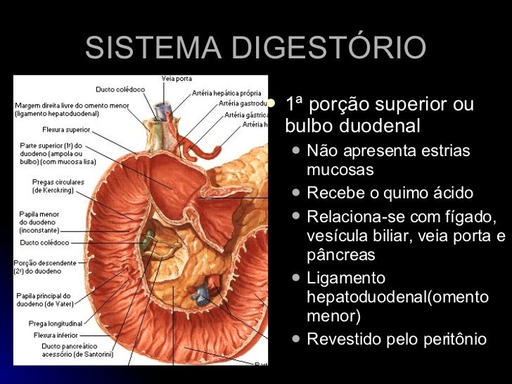 Sistema DigestóRio