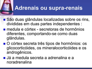 Sistema endocrino-primeiro | PPT