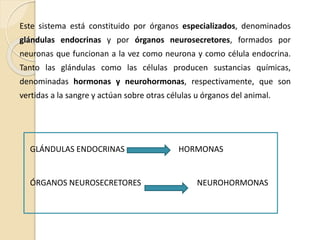 Sistema endocrino y hormonas vegetales | PPTX