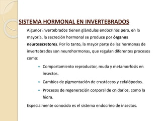 Sistema endocrino y hormonas vegetales | PPTX