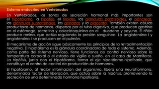 Sistema glandular | PPTX