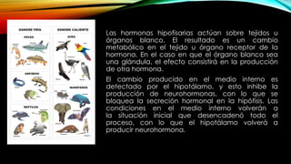 Sistema glandular | PPTX