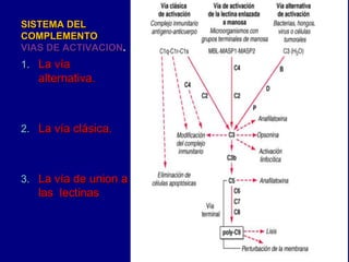 sistema-inmune-sist-complemento.ppt