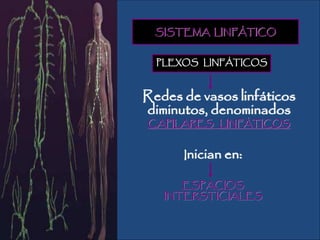 Sistema linfatico | PPTX