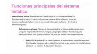 El Sistema Linfático y sus Funciones diapositivas | PPTX
