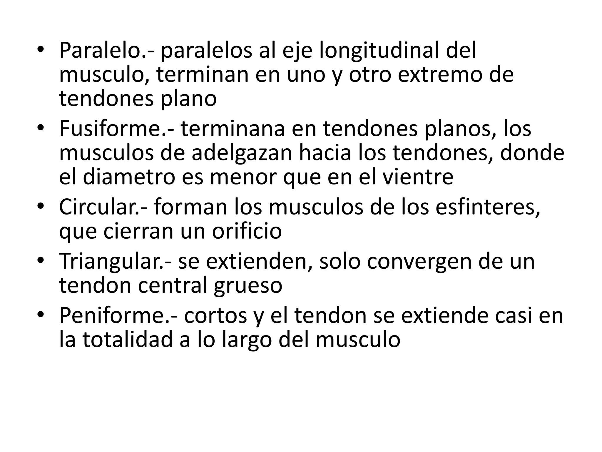 Sistema muscular | PPTX