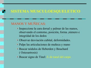 sistema-musculoesqueletico-10609.pdf
