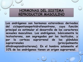 Sistema reproductor-masculino Anatomico y Fisiologico | PPTX