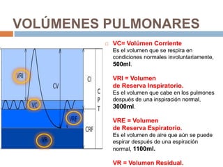 SISTEMA-RESPIRATORIO1 eeeeeeeeeeeeeeeeee | PPT
