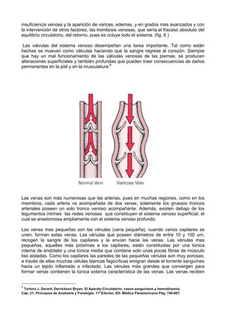 Sistema venoso | PDF
