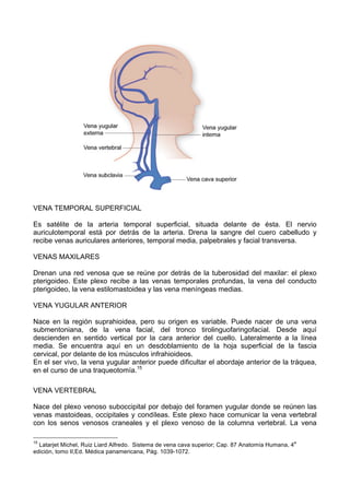 Sistema venoso | PDF