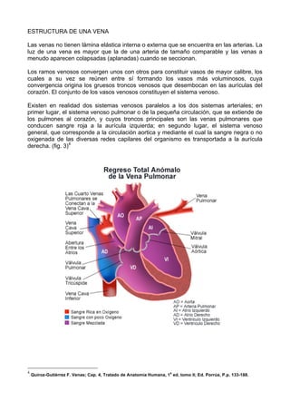 Sistema venoso | PDF