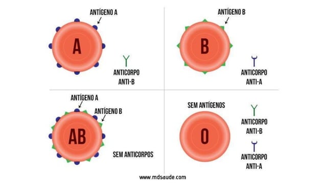 Sistema ABO e fator Rh