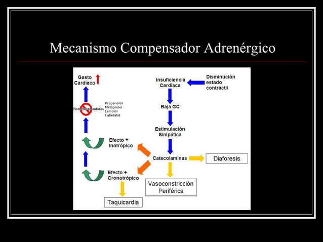 Sistema Adrenergico Cardiaco | PPT