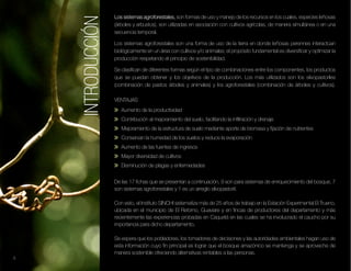 Sistema agroforestales para la amazonia | PDF