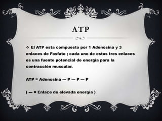 Sistema anaerobico alactico | PPTX