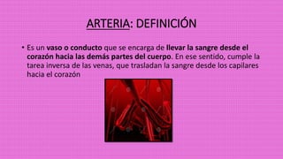 Sistema arterial | PPTX