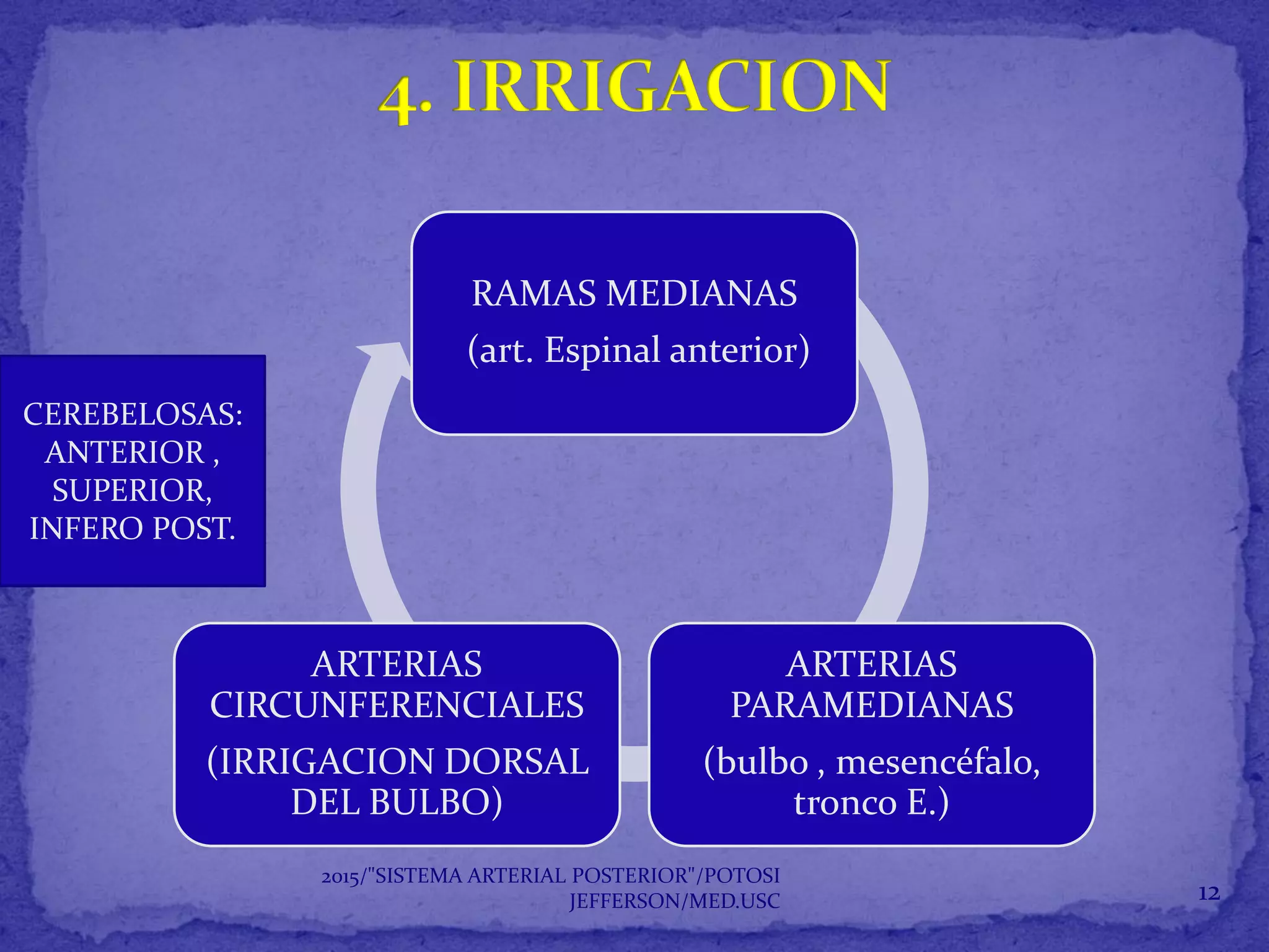 Sistema arterial posterior | PDF
