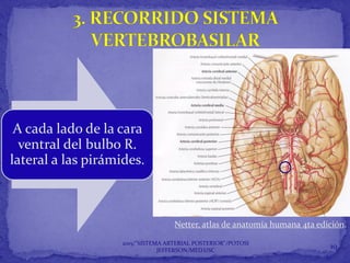 Sistema arterial posterior | PDF