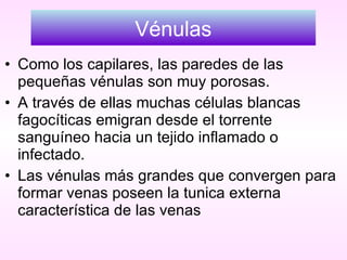 Sistema arterial y venoso2 | PPT