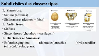Sistema articular.pptx