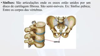 Sistema articular.pptx