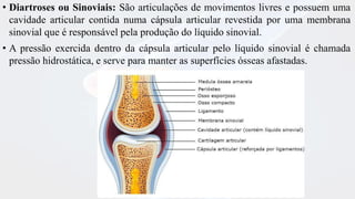 Sistema articular.pptx