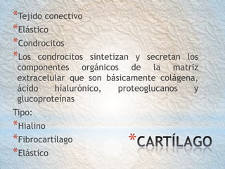 Sistema articular actual | PPTX