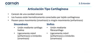 SISTEMA ARTICULAR ANATOMIA DEL APARATO LOCOMOTOR.pdf