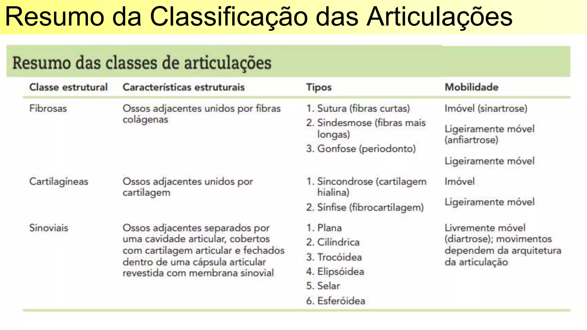 Sistema Articulatório - Anatomia.pptx